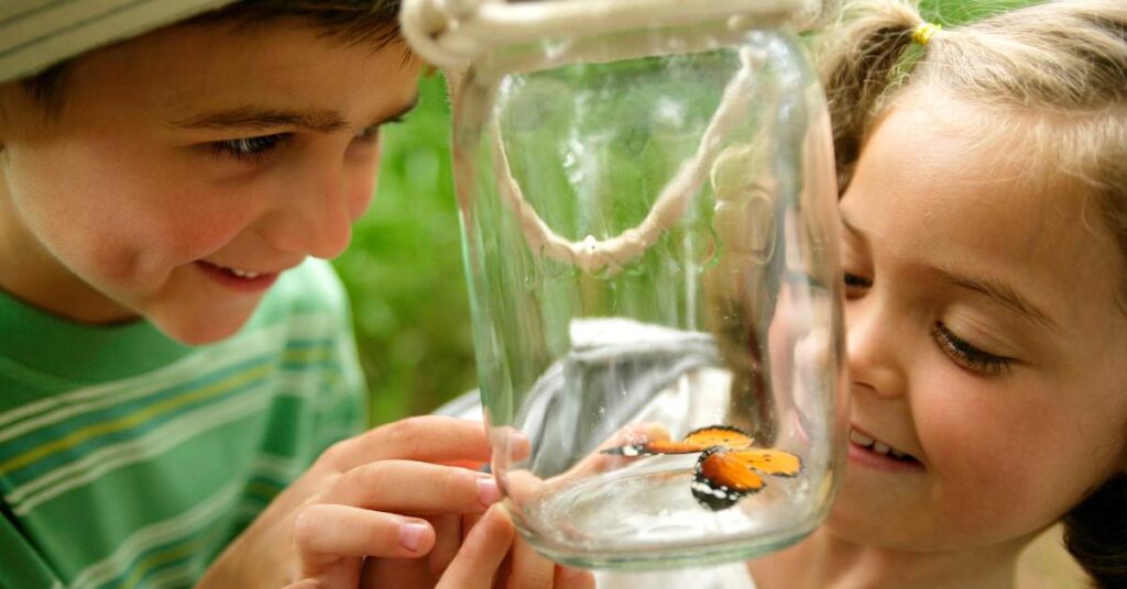 How Fast Do Butterflies Decompose? - Insects Authority