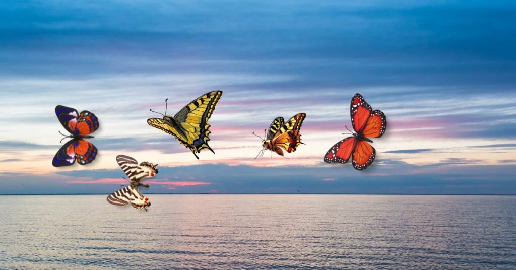 Can Butterflies Cross The Ocean? - Insects Authority